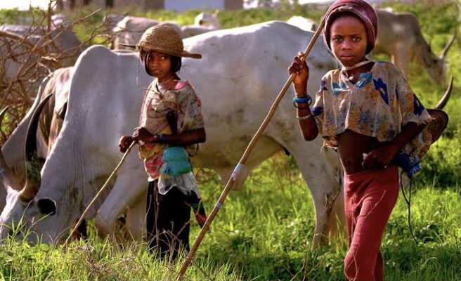 Traditional ruler tasks Fulanis on proper child upbringing - Peoples ...