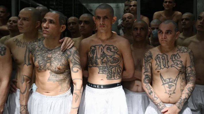 Mexican drug cartels emerging in West Africa; ISIS has franchise in ...