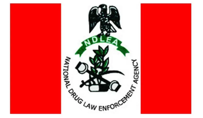 NDLEA auctions drug barons’ assets for N6.1 billion