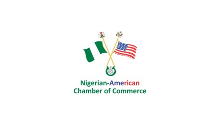 NACC says Nigeria yet to explore its technology potential fully