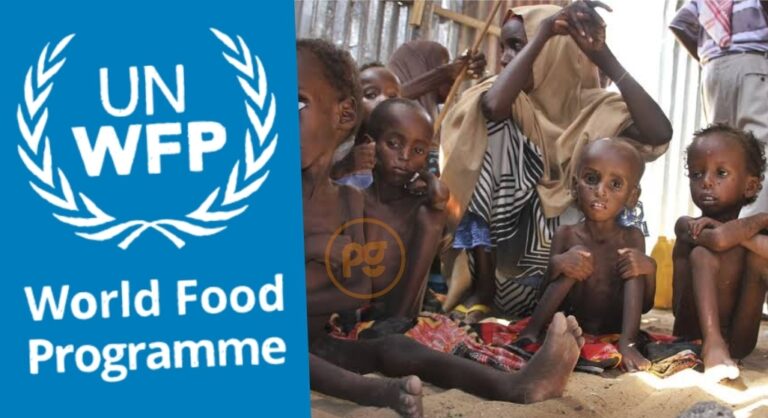 Drought: WFP scales up support to arrest famine in Horn of Africa ...