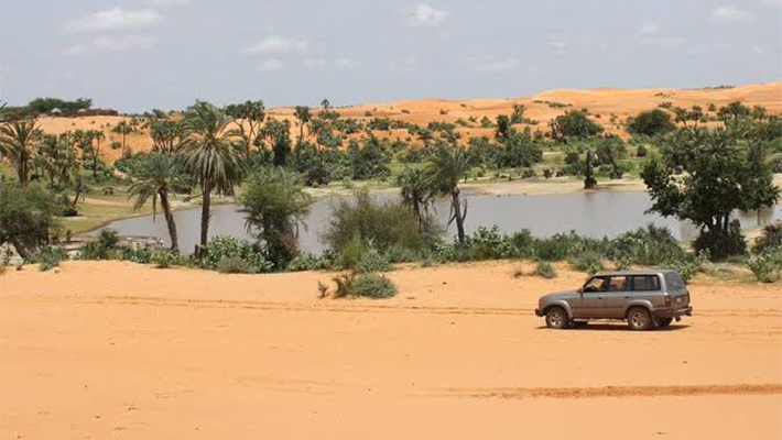Desertification forcing people to flee their homes in Yobe: LG Boss