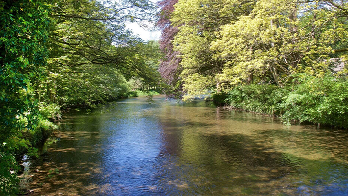 Human faeces polluted UK rivers, tap water contaminated amid leaky ...
