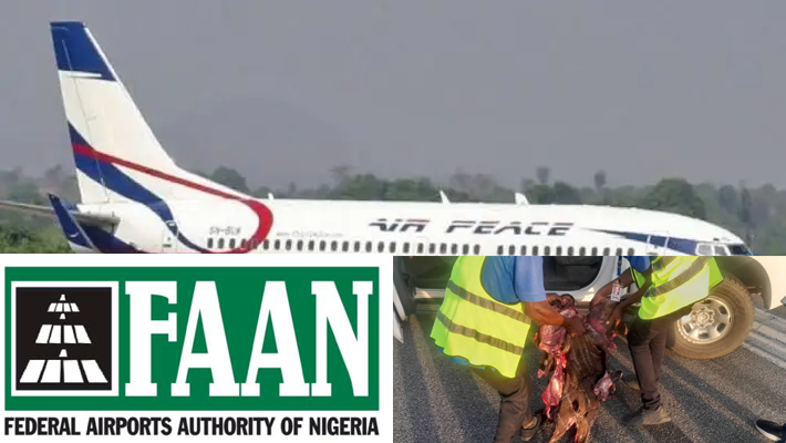 Air Peace Plane, Antelope Collision: FAAN says Asaba airport not under ...